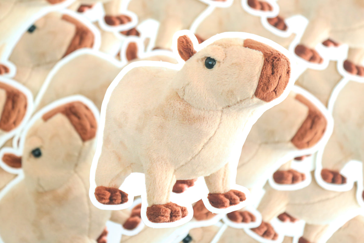 Capybara Plush Sticker - Matte Vinyl Sticker - 3 x 3 Inches – BeeZeeArt