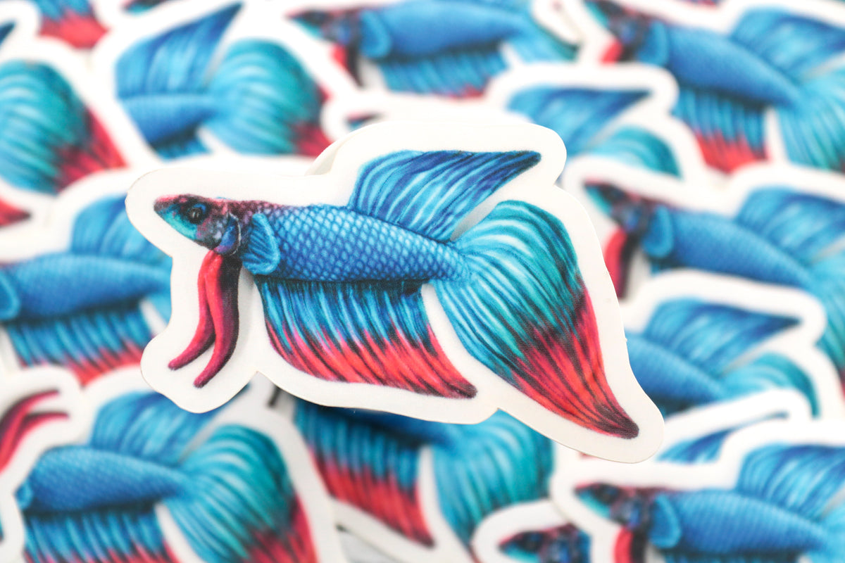 Betta Fish Plush Sticker - Glossy Vinyl Sticker - 3 x 1.9 Inches ...